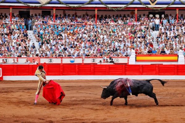 Plaza de Toros de Santander | Verified Web
